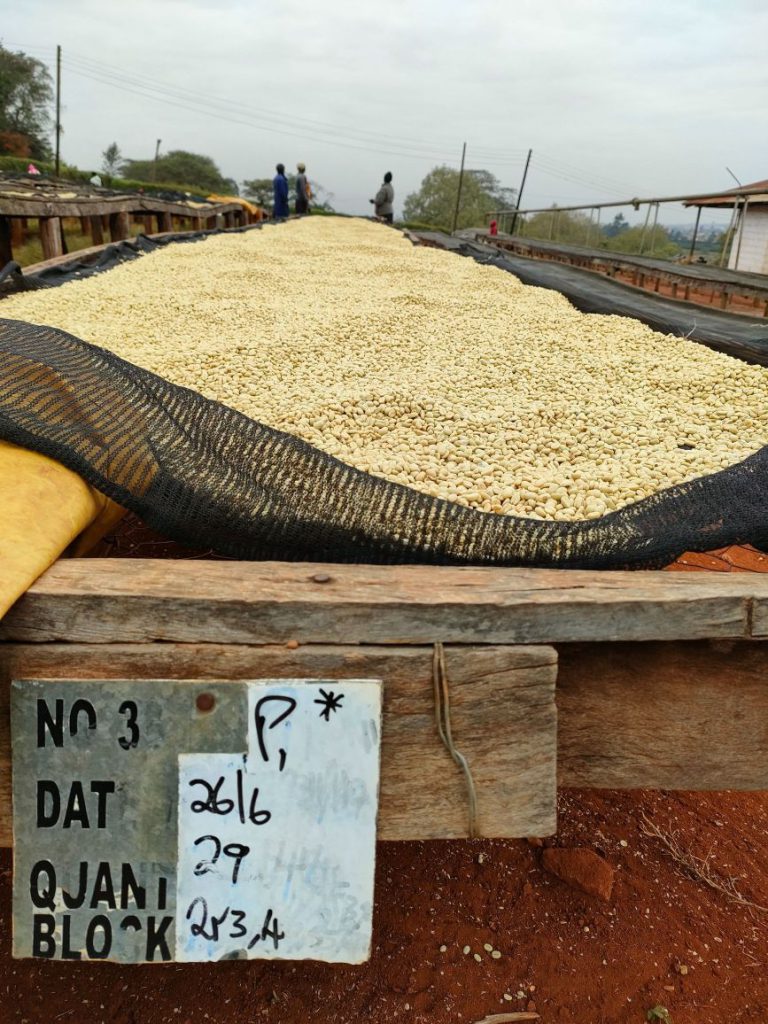 Coffee - Maakiou Coffee Estate